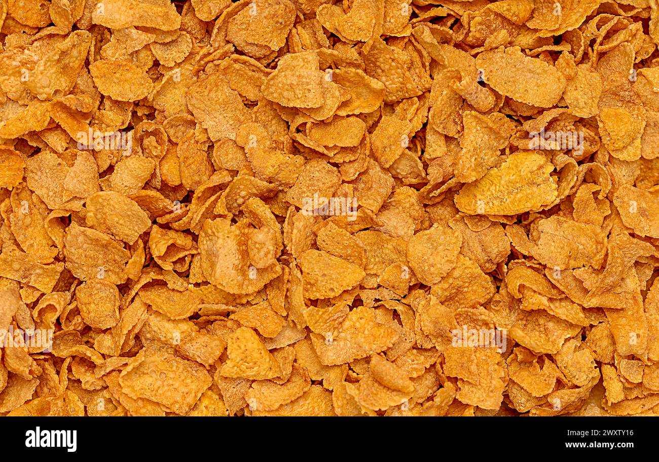 Macro blank photography of corn flakes, toasted, maize, snack ...