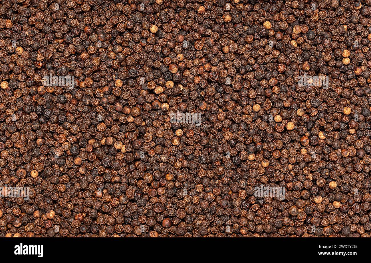 Macro blank photography of raw black pepper, spice, seasoning ...