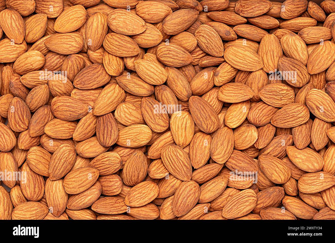 Macro blank photography of raw whole almonds, nuts, seeds, kernel, many ...