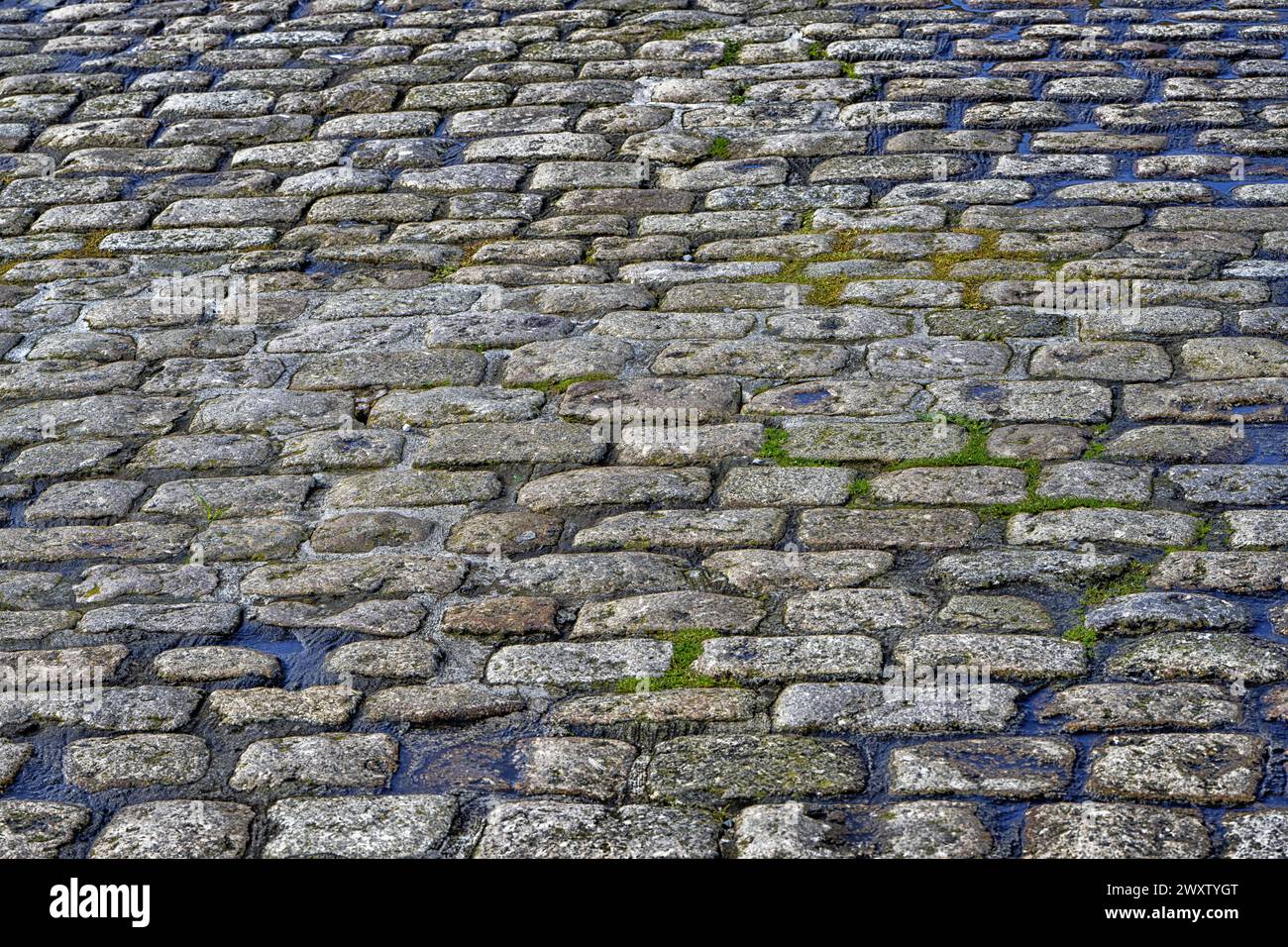 Cobbled cobblestone street hi-res stock photography and images - Alamy