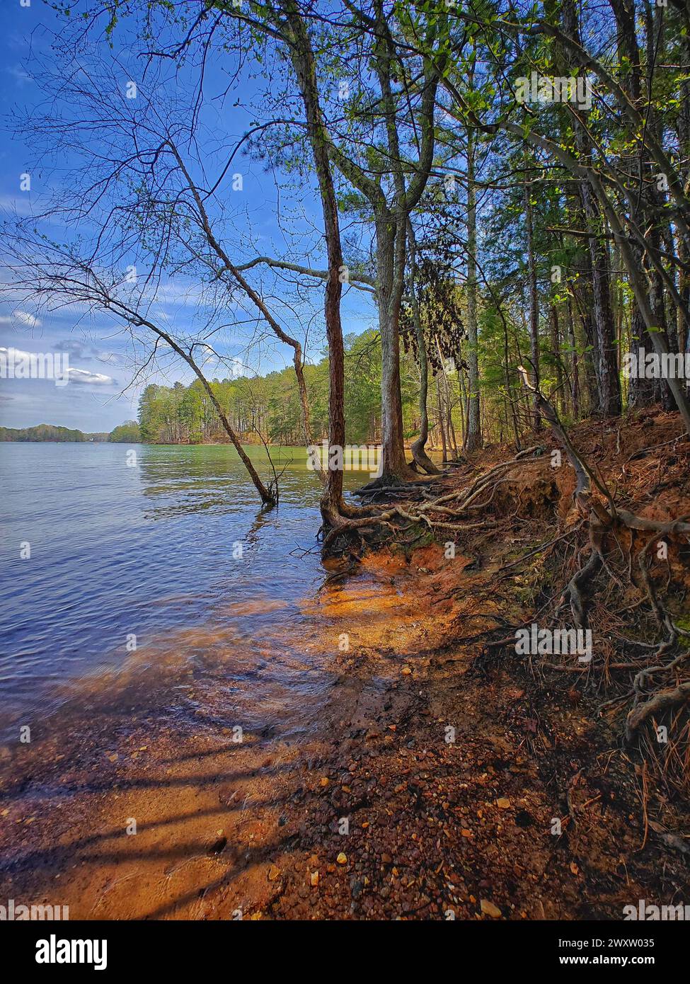The view of Lake Lanier with lush trees on the shore. Little Ridge Park ...