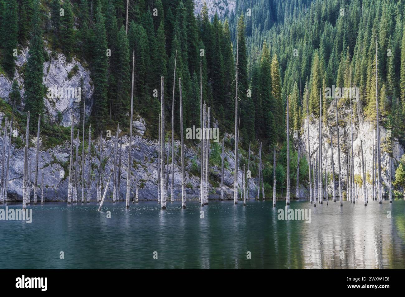 amazing Kaindy Lake in the Tien Shan mountains in Kazakhstan in summer ...