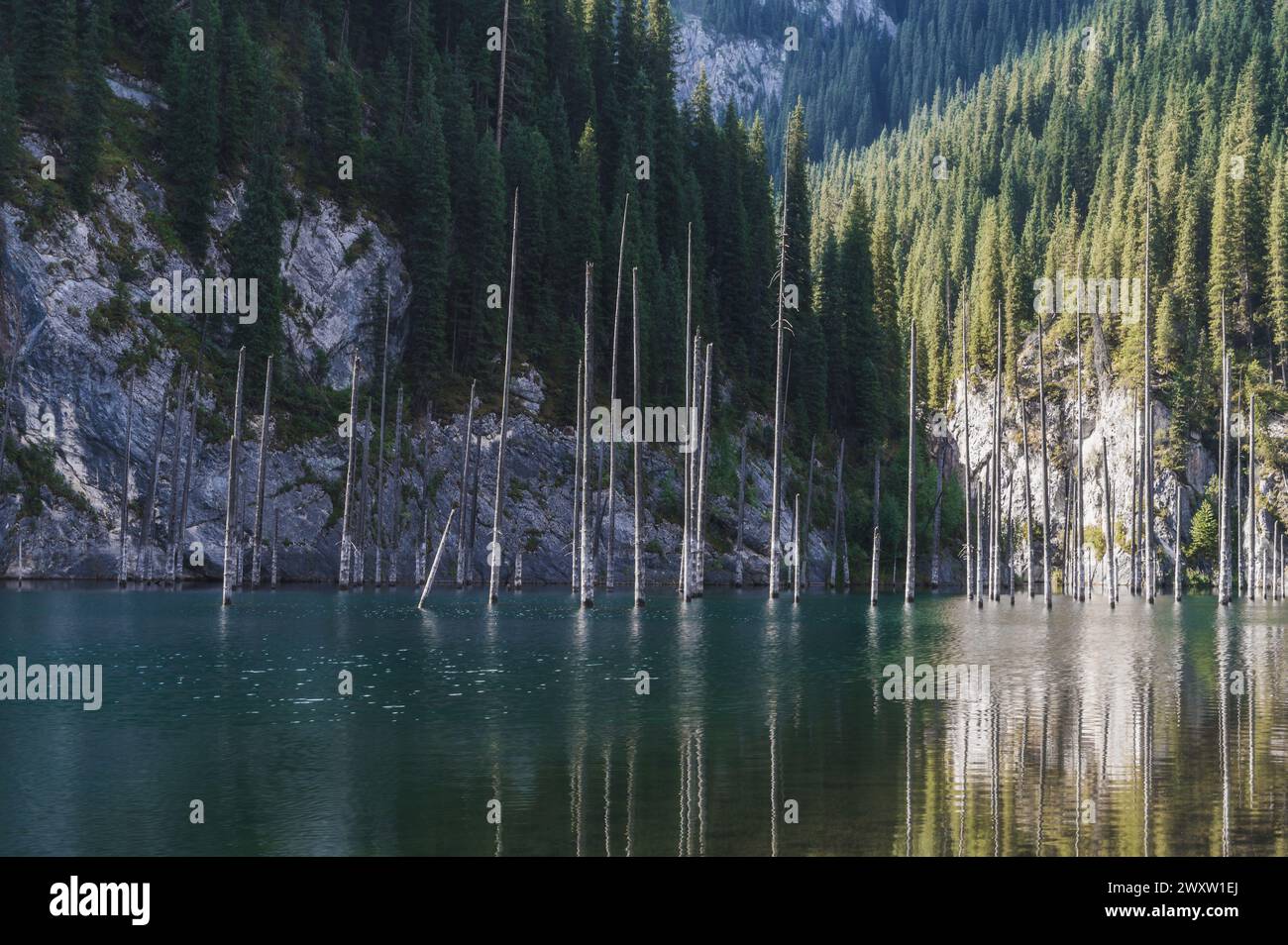 Landscape with Kaindy lake with blue water and a sunken forest with ...