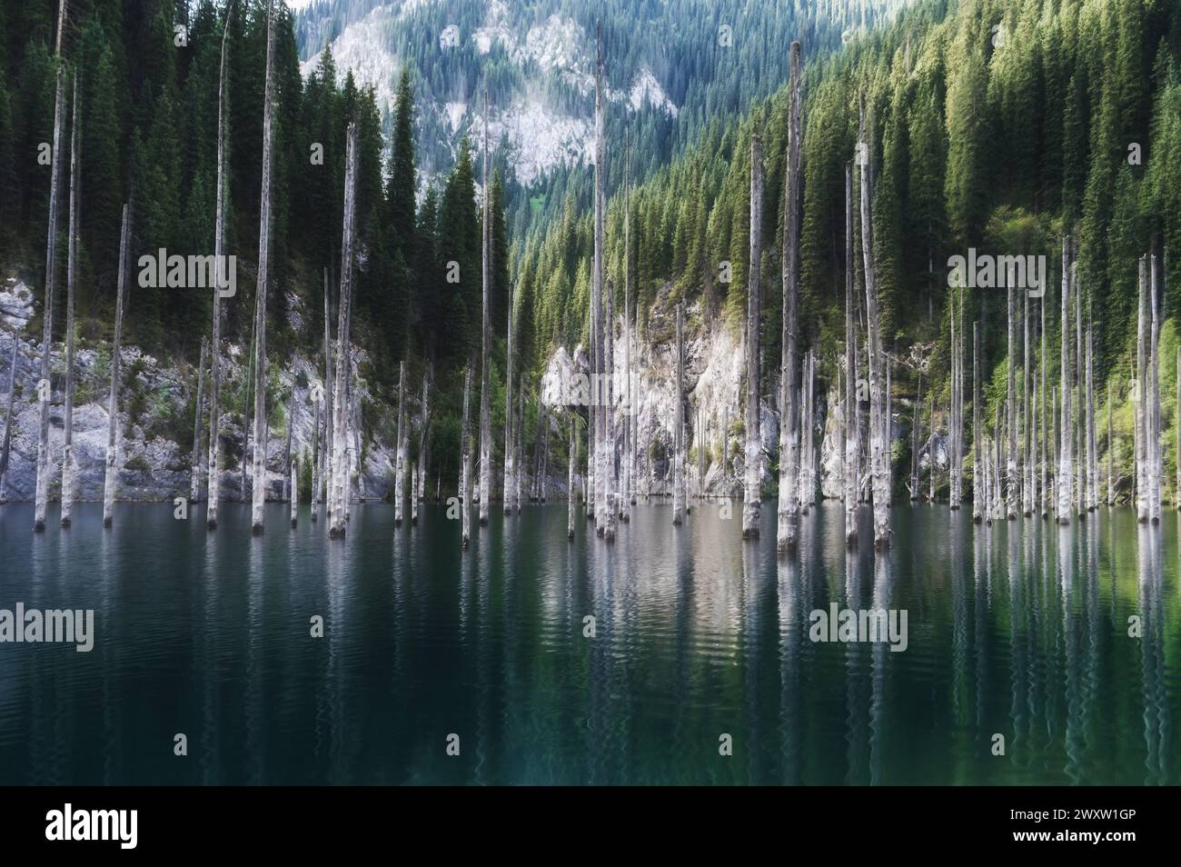 amazing Kaindy Lake in the Tien Shan mountains in Kazakhstan in summer ...
