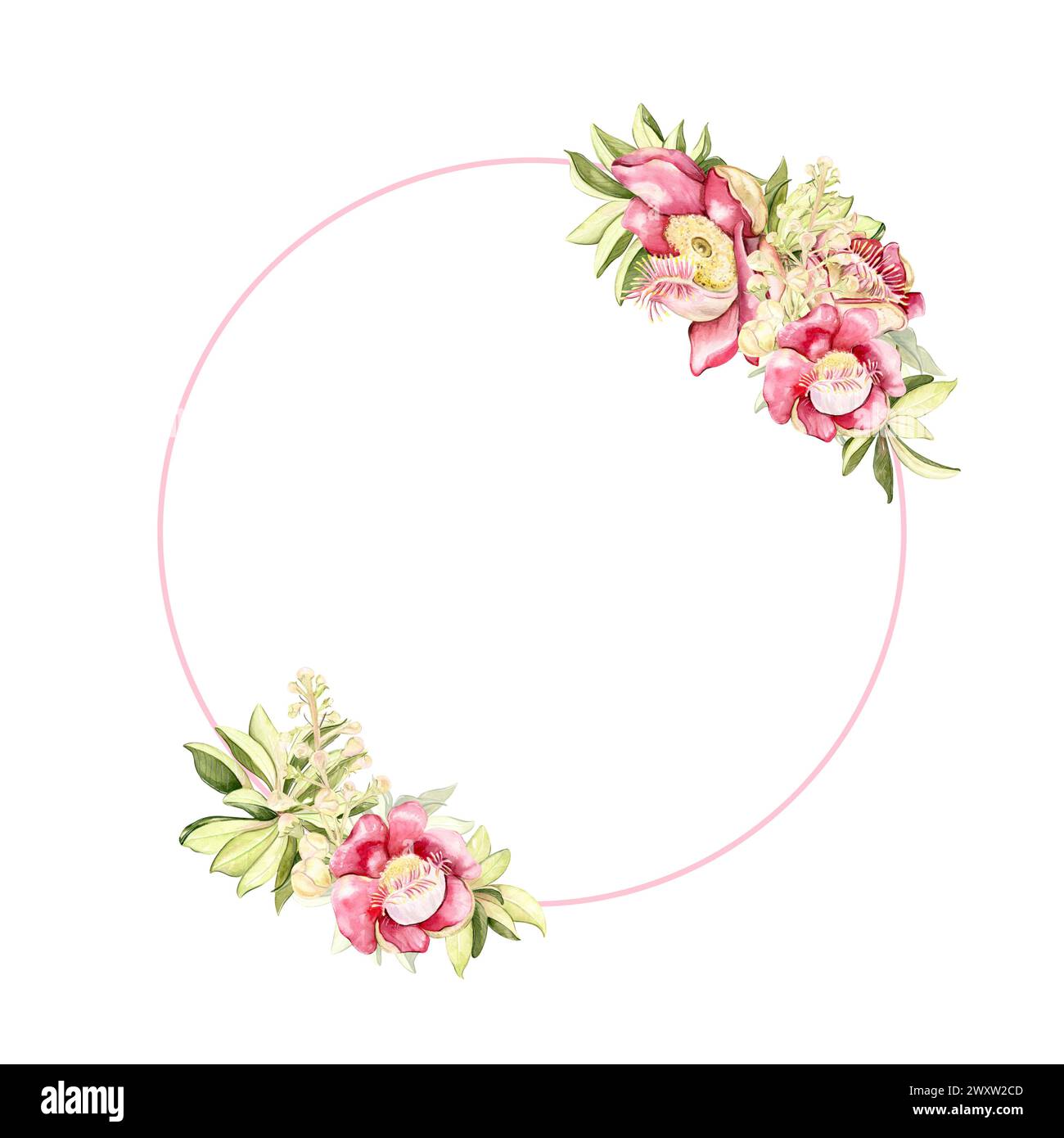 Pink flowers circle frame Stock Photo - Alamy