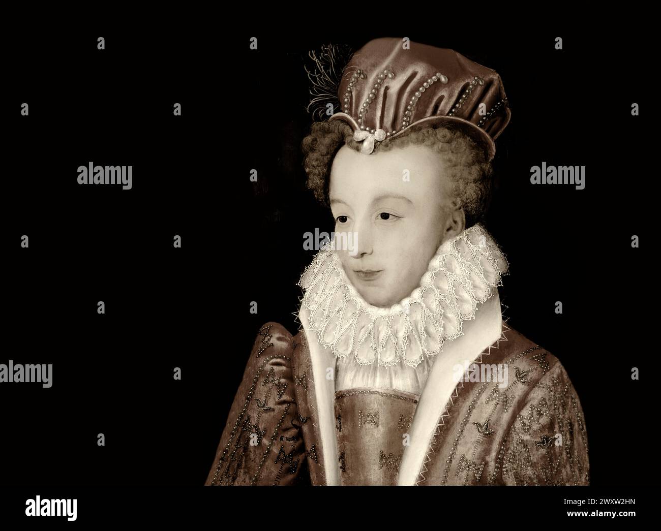 Marguerite de france hi-res stock photography and images - Alamy