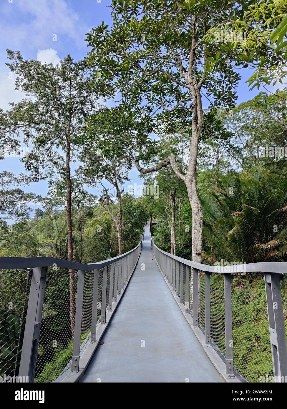 Exploration nature pathway hi-res stock photography and images - Alamy