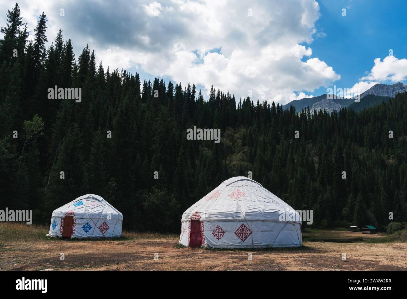 traditional Asian nomadic white yurts near the forest in summer in the ...