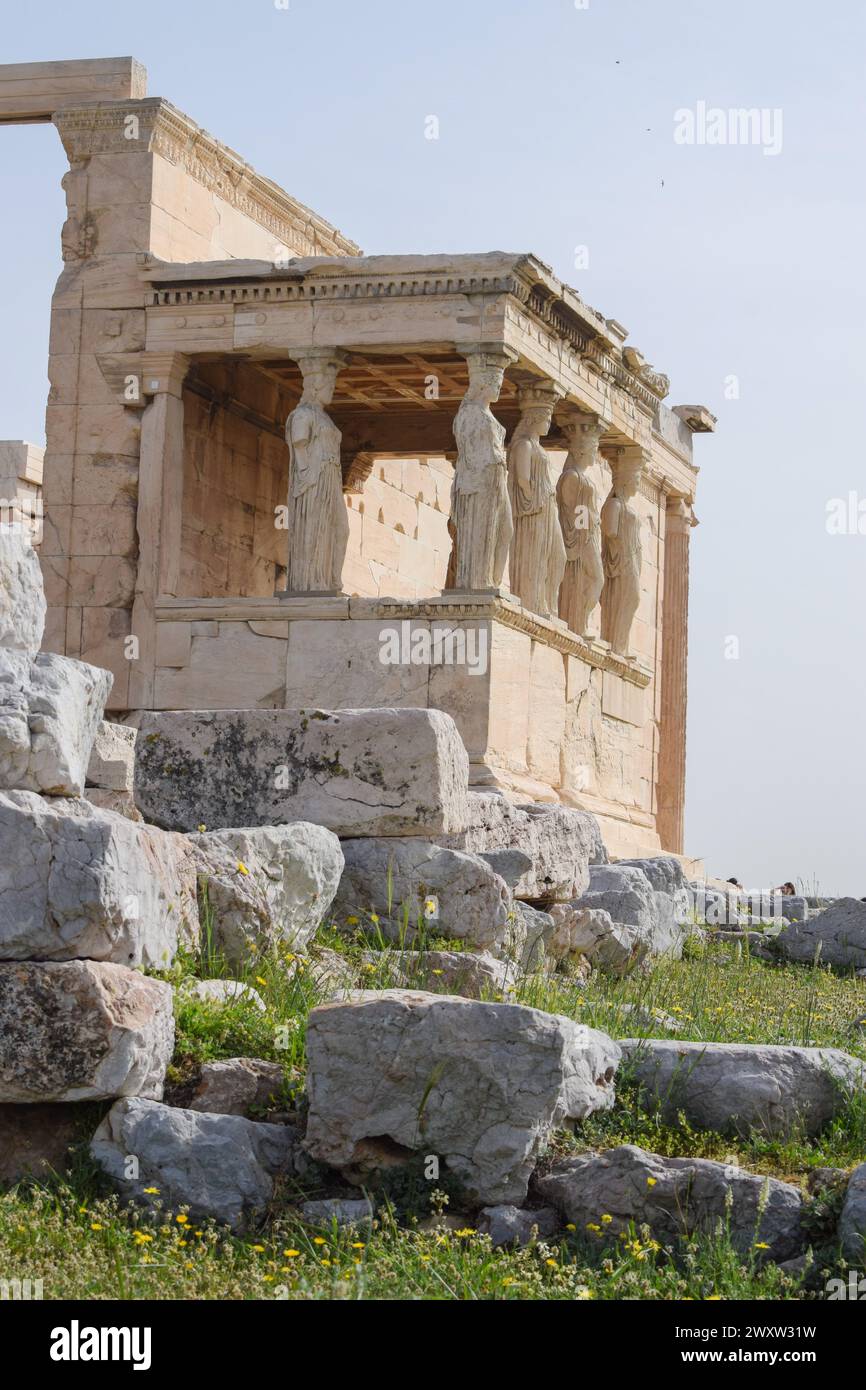 Colorful wildflowers blossom in Acropolis Hill ahead of the Erechtheion ...