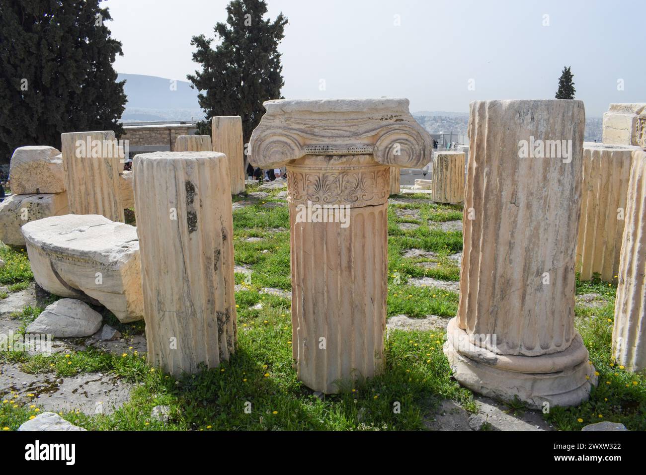 Colorful wildflowers blossom in Acropolis Hill as springtime arrives ...