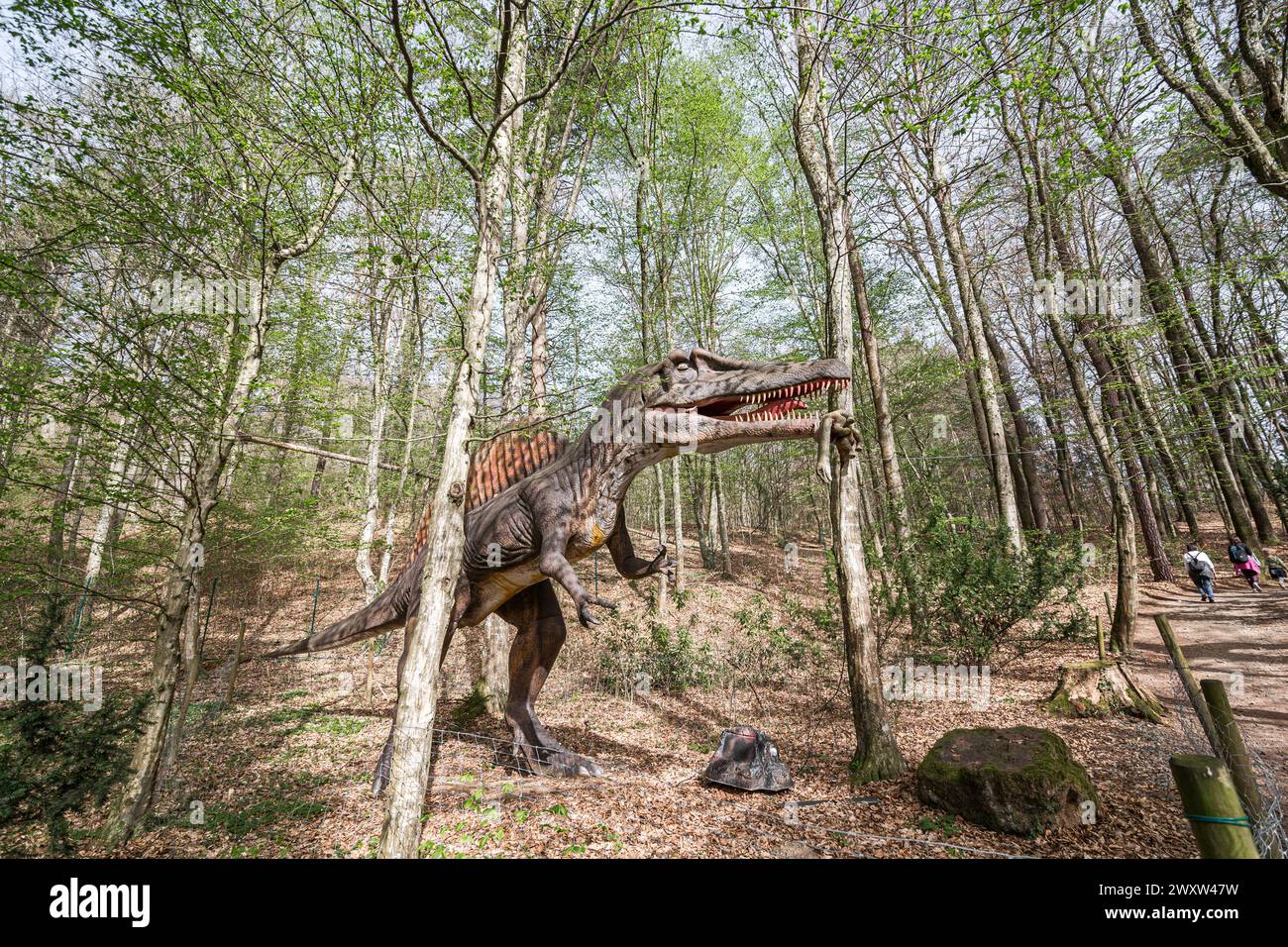 Spinosaurus replica hi-res stock photography and images - Alamy
