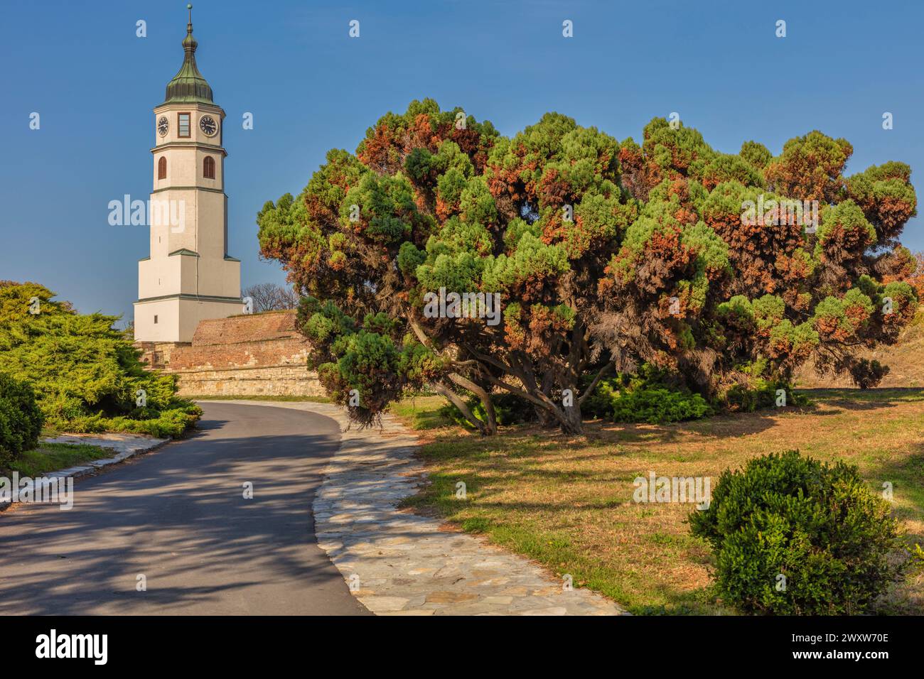 Belgrade city museum hi-res stock photography and images - Alamy