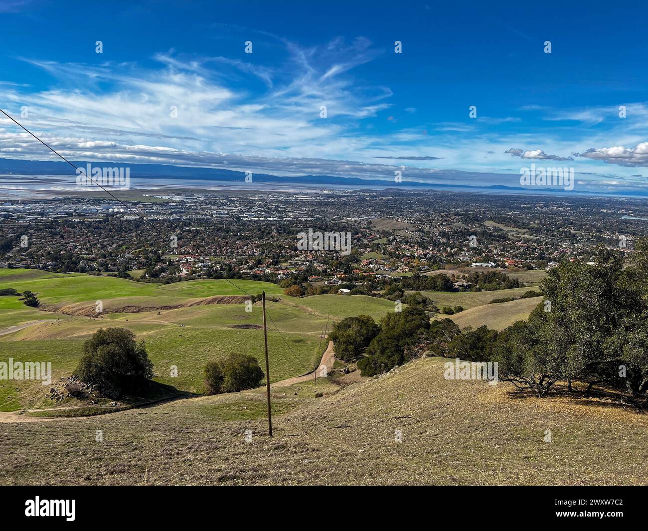 A scenic view of lush green fields under a clear blue sky Stock Photo ...
