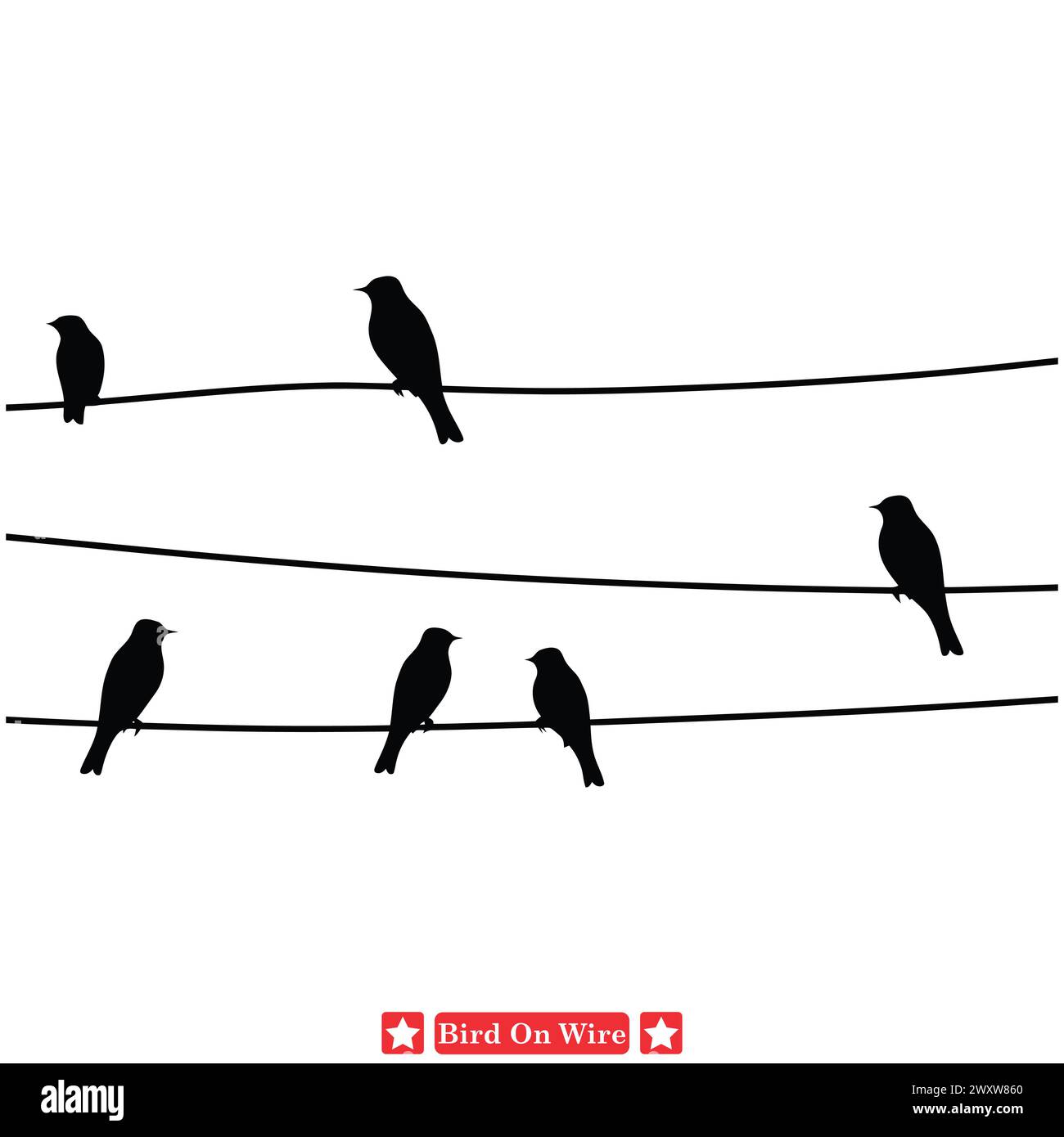 Swooping Swirls Dynamic Birds on Wire Silhouettes Stock Vector Image ...