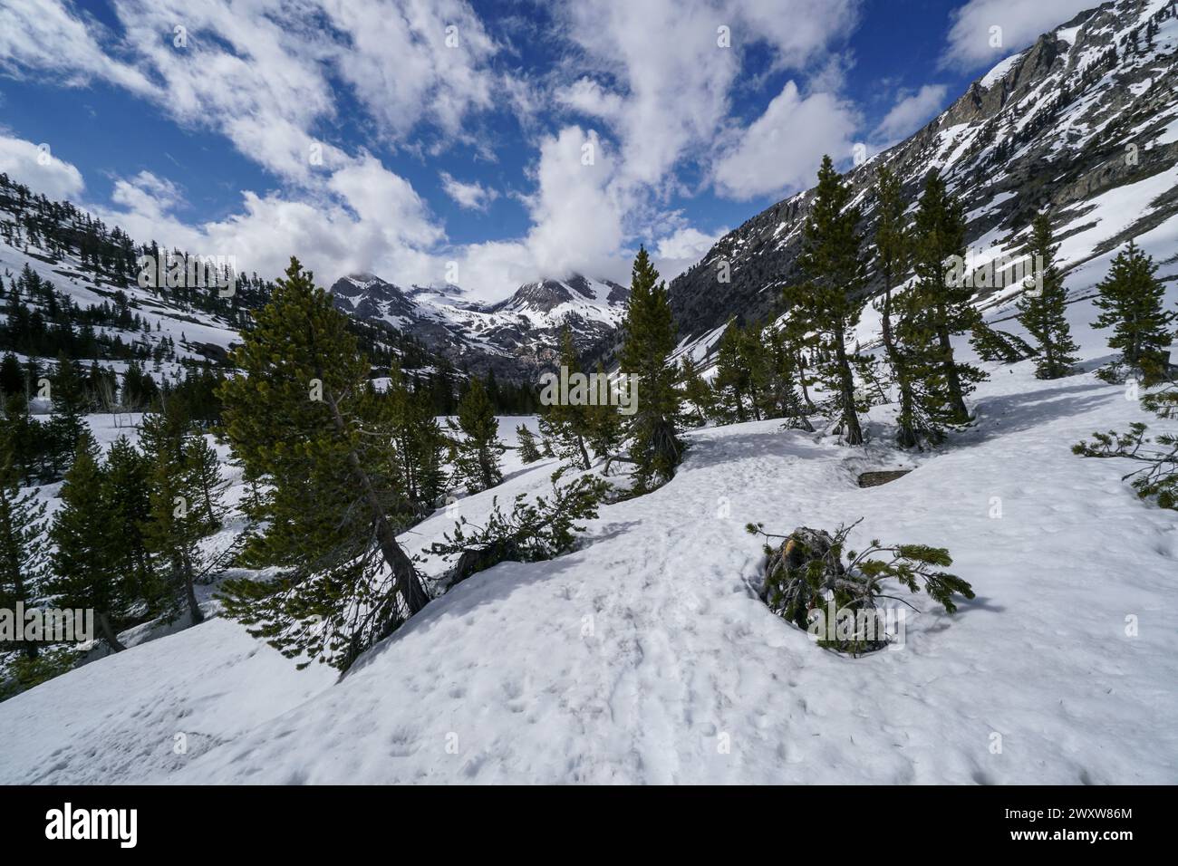 Pacific Crest Trail. A snowy mountain landscape with trees and a path ...