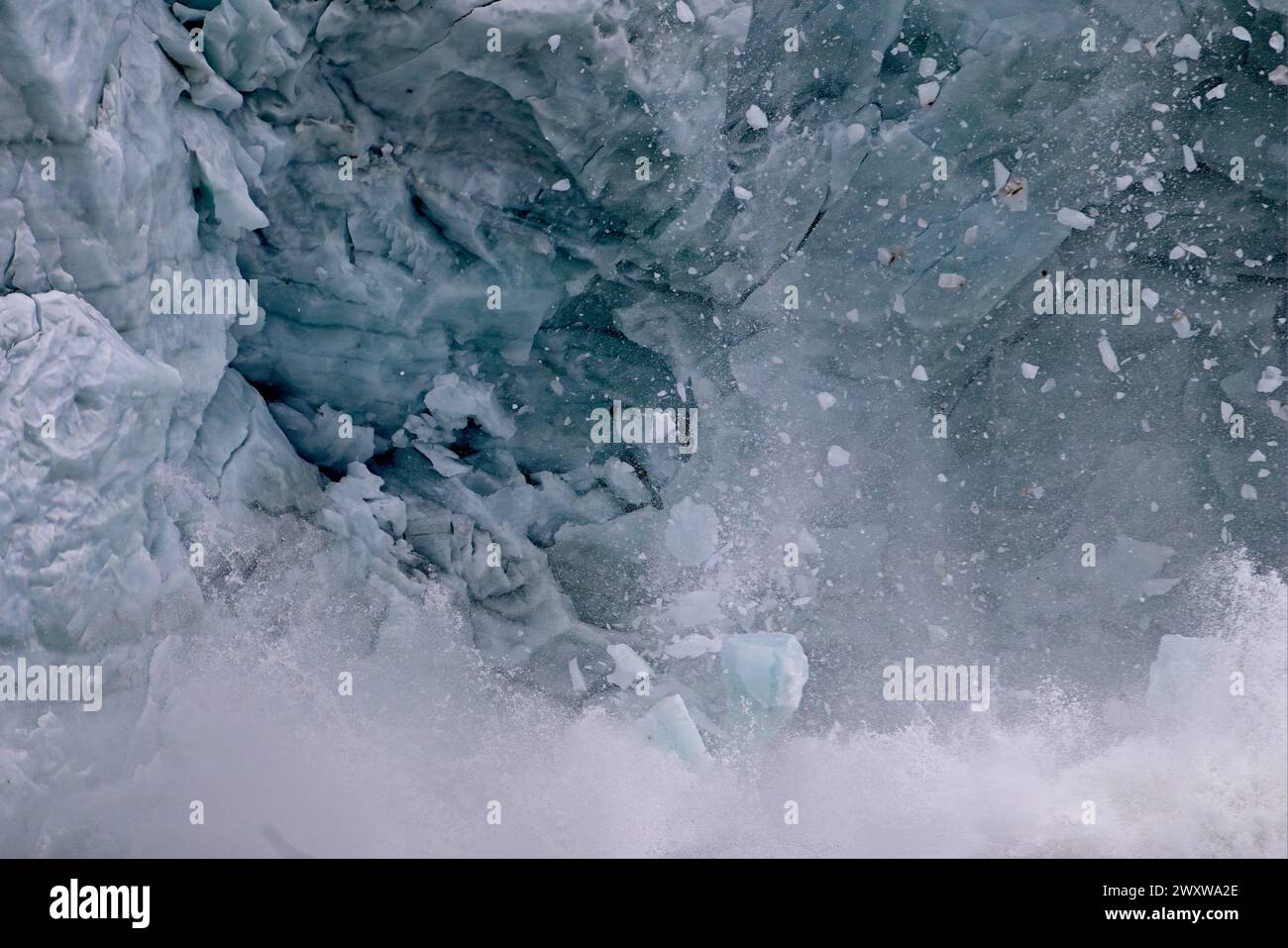 The face of the Pia glacier Calving and falling into Pia bay. The ...