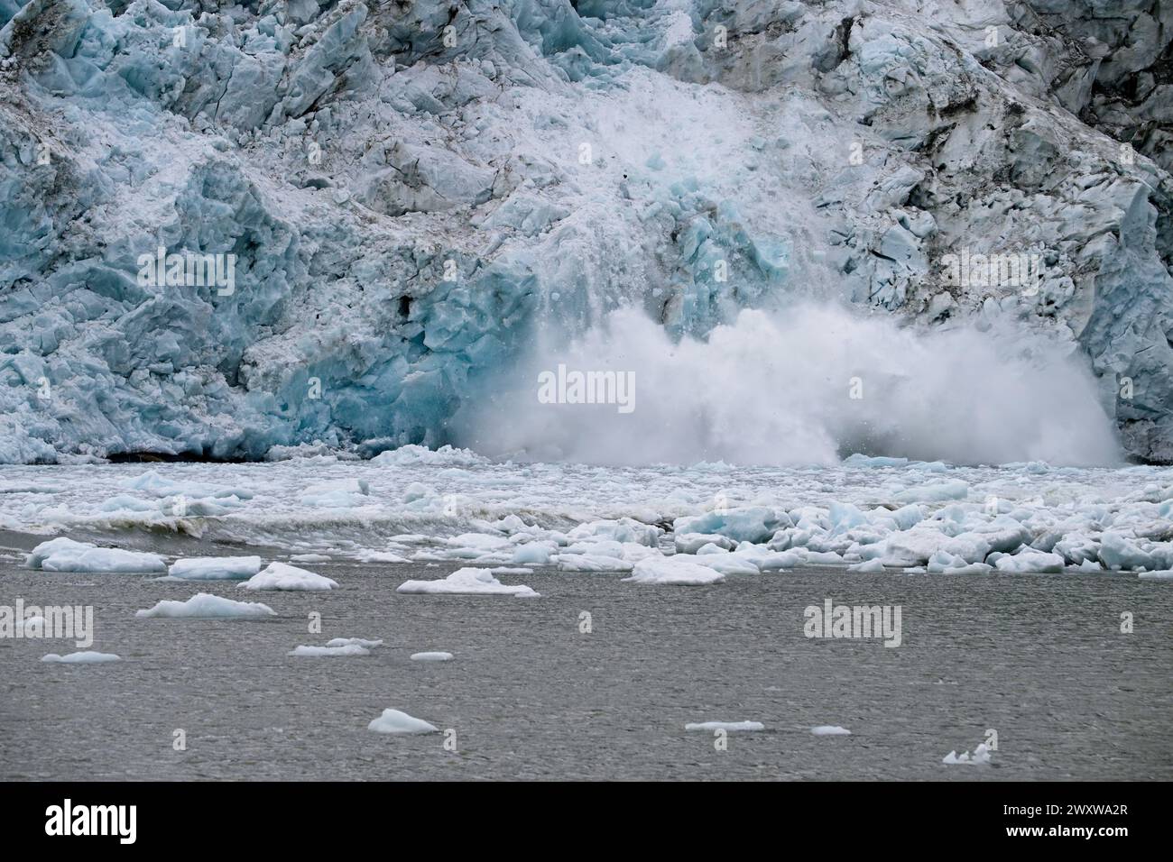 The face of the Pia glacier Calving and falling into Pia bay. The ...