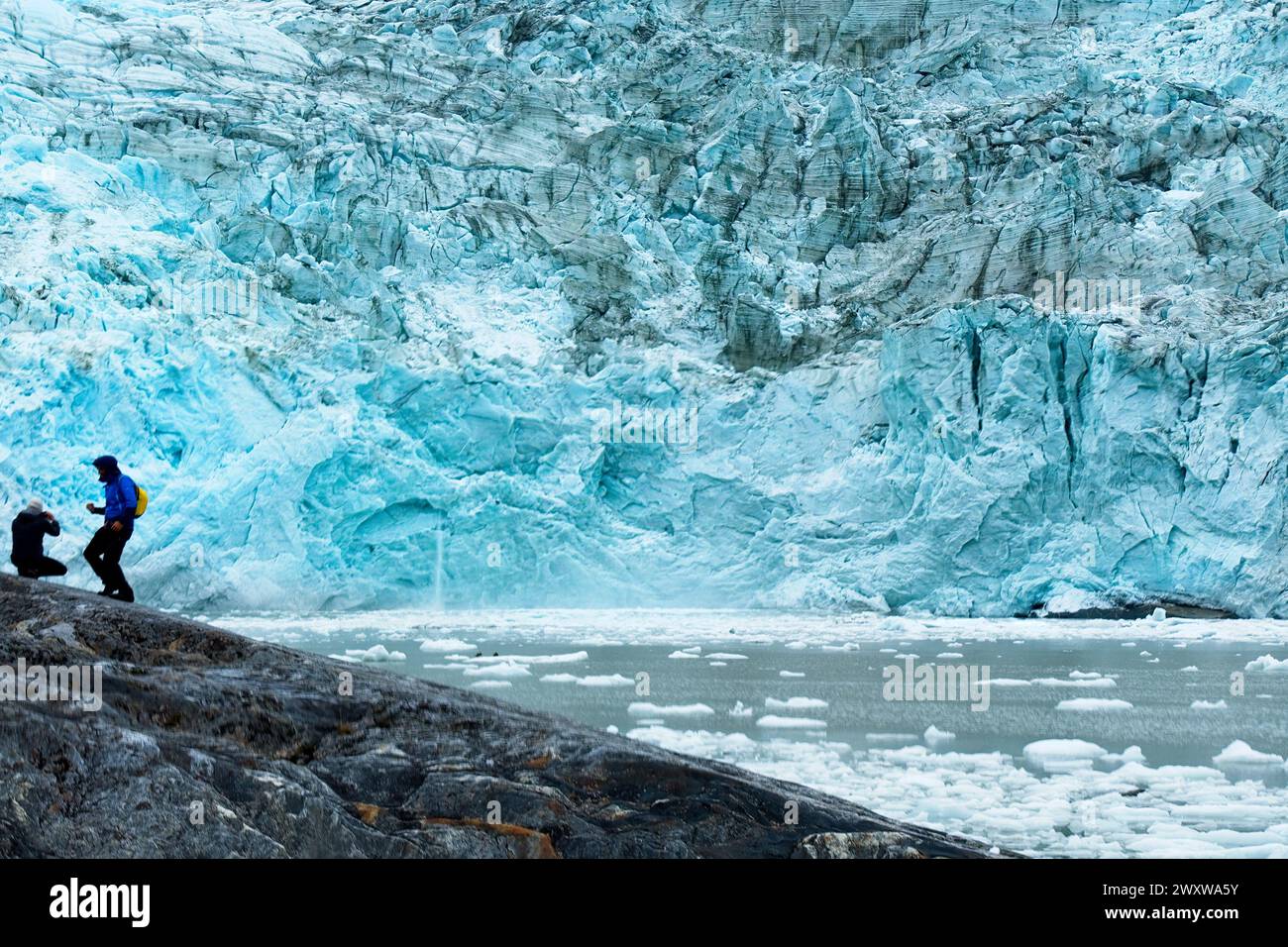 The Pia glacier (East) Flows from the Darwin Mountains into the sea ...