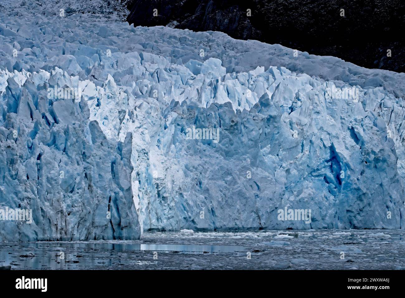 Subpolar rainforest hi-res stock photography and images - Alamy