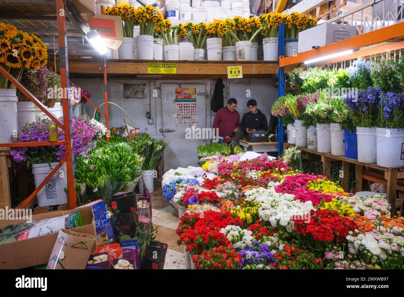 The Los Angeles Flower District, Los Angeles, California, USA Stock ...