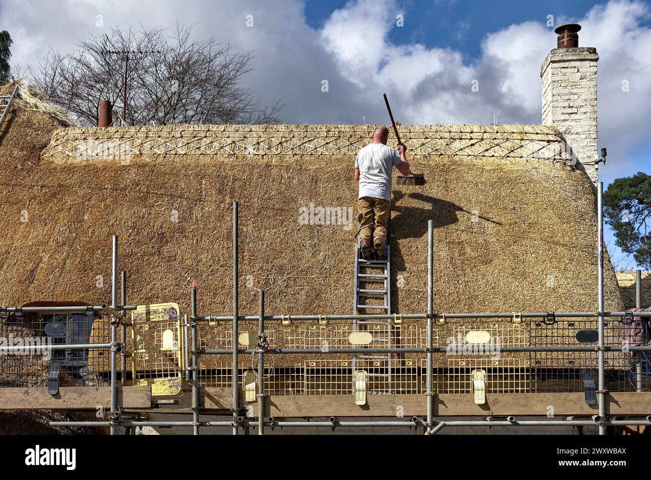 Thatcher at work on a cottage roof . England UK Stock Photo - Alamy