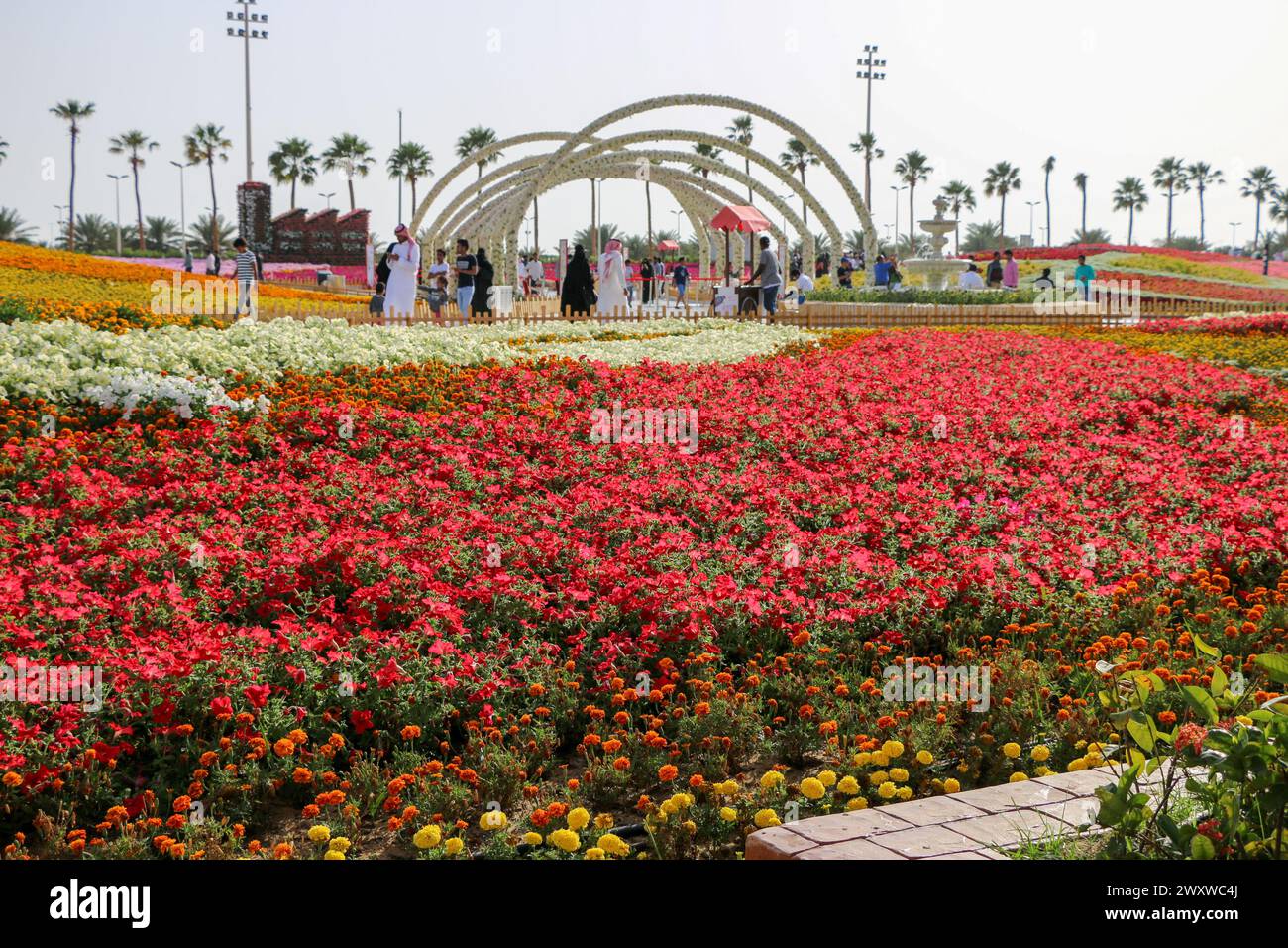 Yanbu, Madinah region, Saudi Arabia. 23 Mars 2019 - Flower festival ...