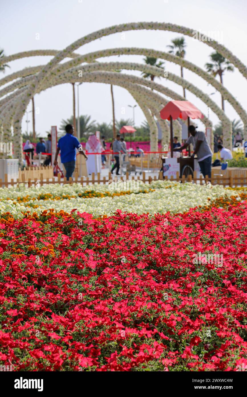 Yanbu, Madinah region, Saudi Arabia. 23 Mars 2019 - Flower festival ...
