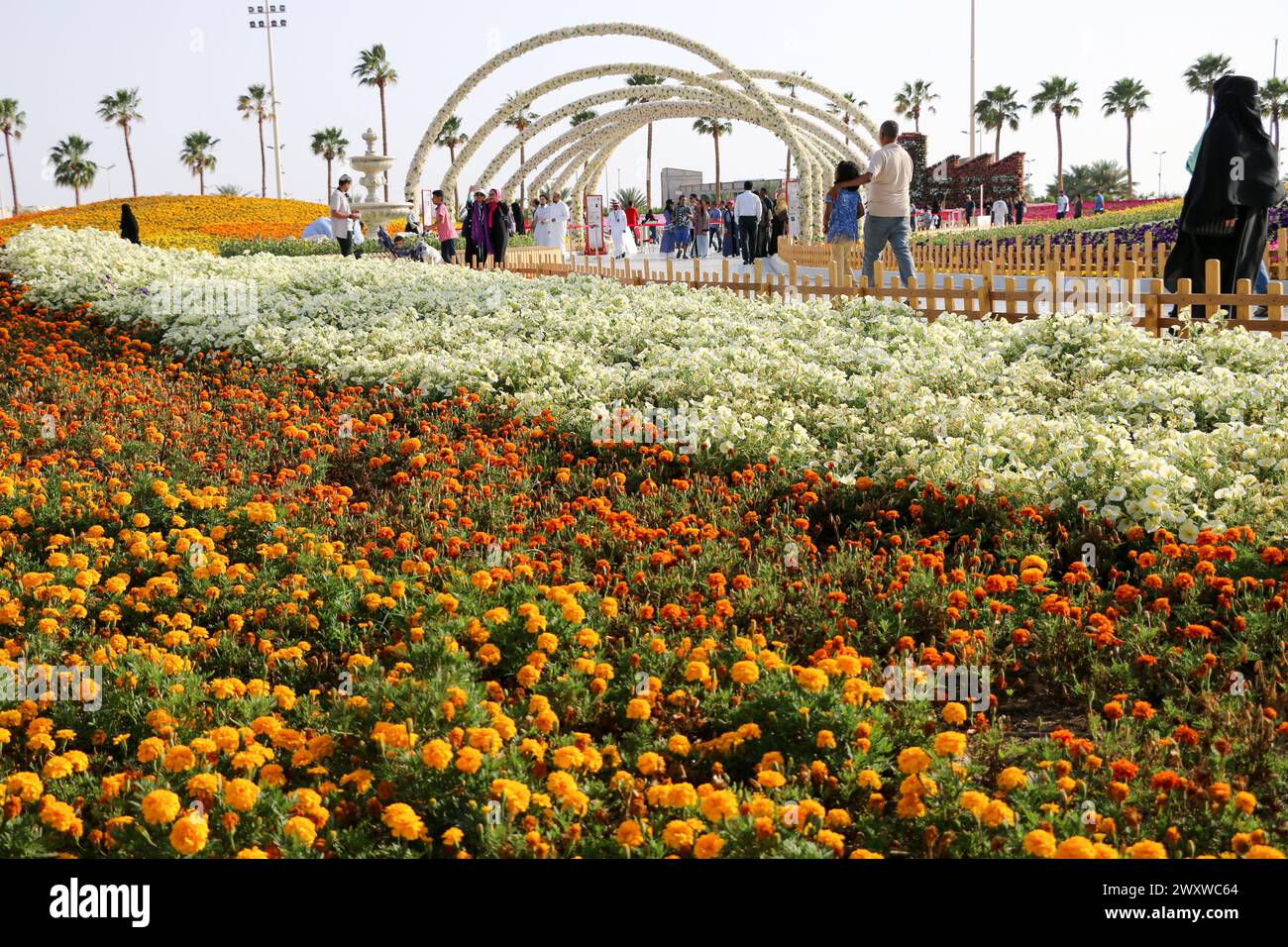 Yanbu, Madinah region, Saudi Arabia. 23 Mars 2019 - Flower festival ...