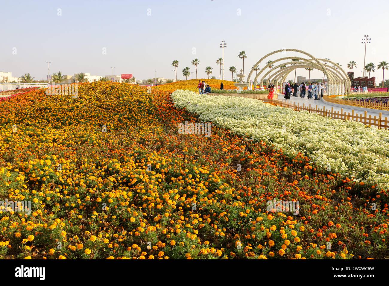 Yanbu, Madinah region, Saudi Arabia. 23 Mars 2019 - Flower festival ...