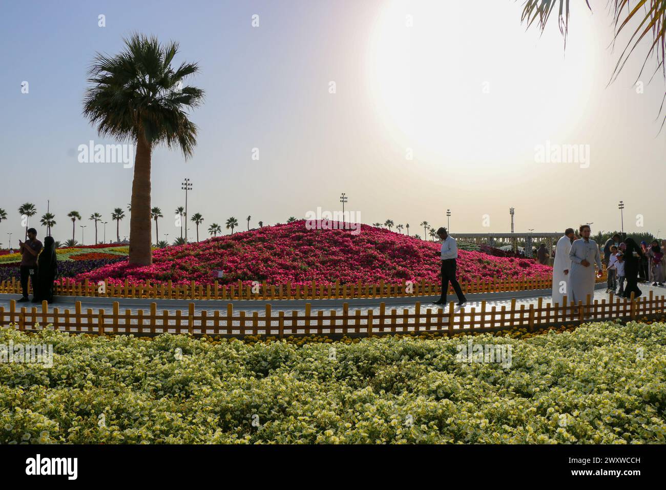 Yanbu, Madinah region, Saudi Arabia. 23 Mars 2019 - Flower festival ...