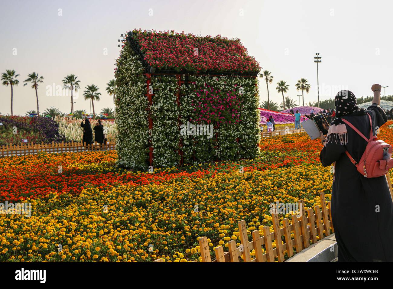 Yanbu, Madinah region, Saudi Arabia. 23 Mars 2019 - Flower festival ...
