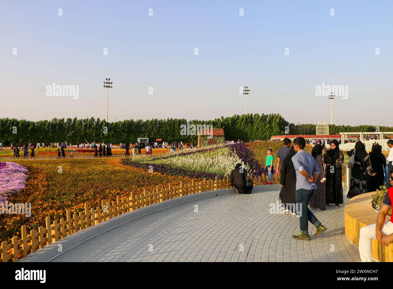 Yanbu, Madinah region, Saudi Arabia. 23 Mars 2019 - Flower festival ...