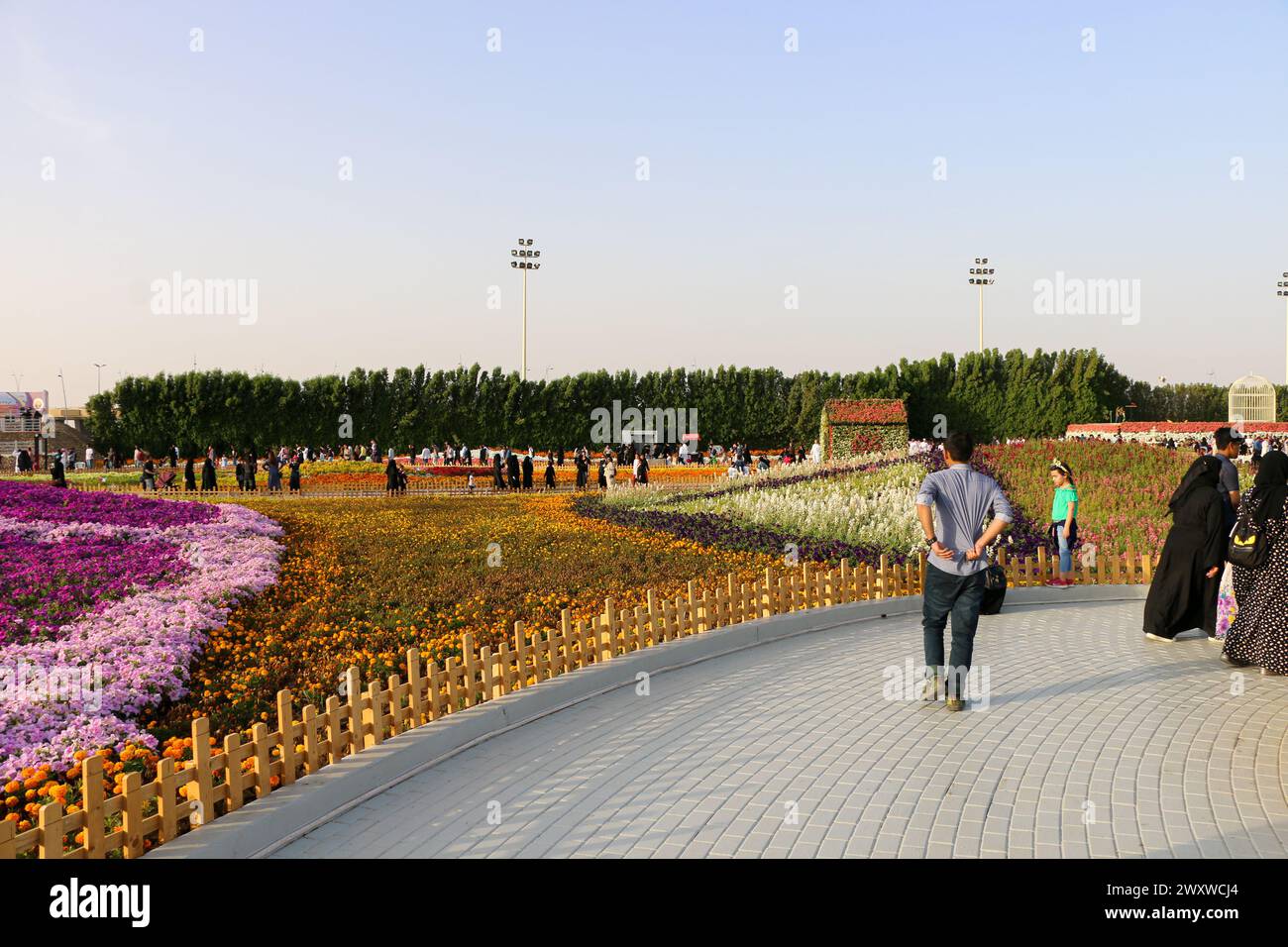 Yanbu, Madinah region, Saudi Arabia. 23 Mars 2019 - Flower festival ...