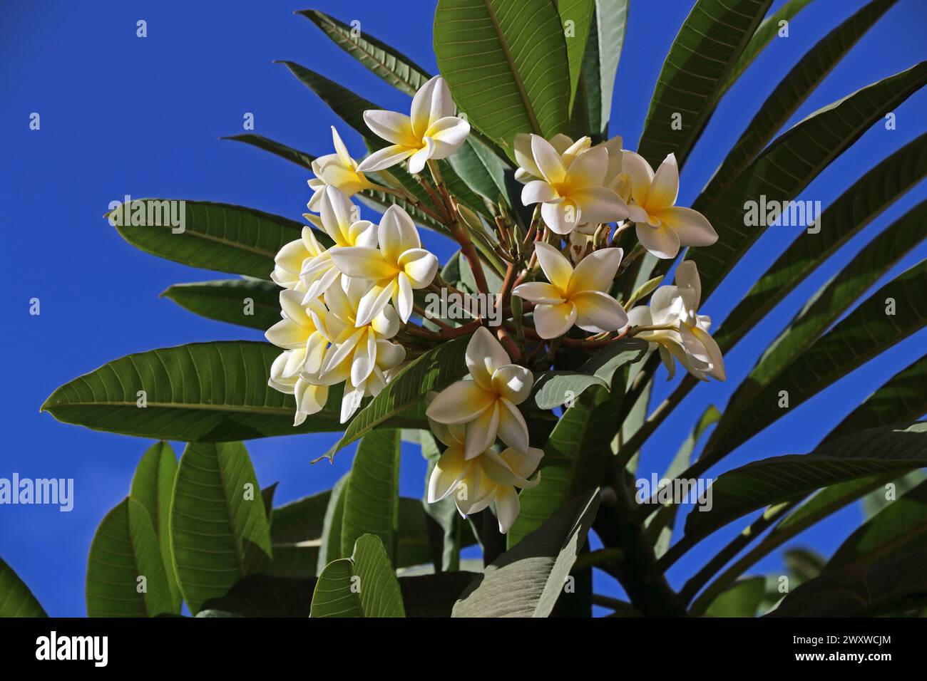 Mala spain hi-res stock photography and images - Alamy