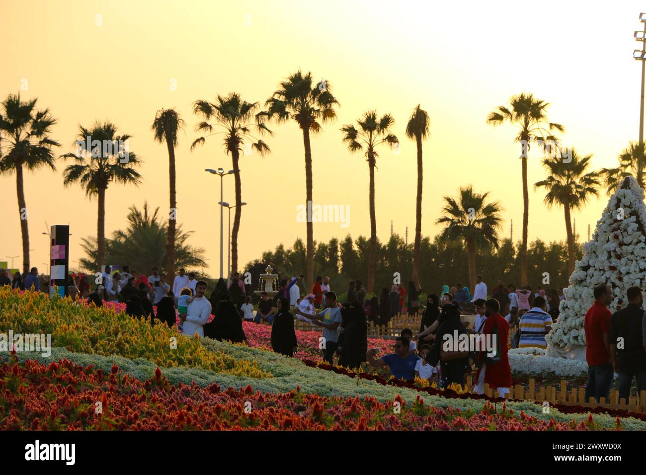 Yanbu, Madinah region, Saudi Arabia. 23 Mars 2019 - Flower festival ...