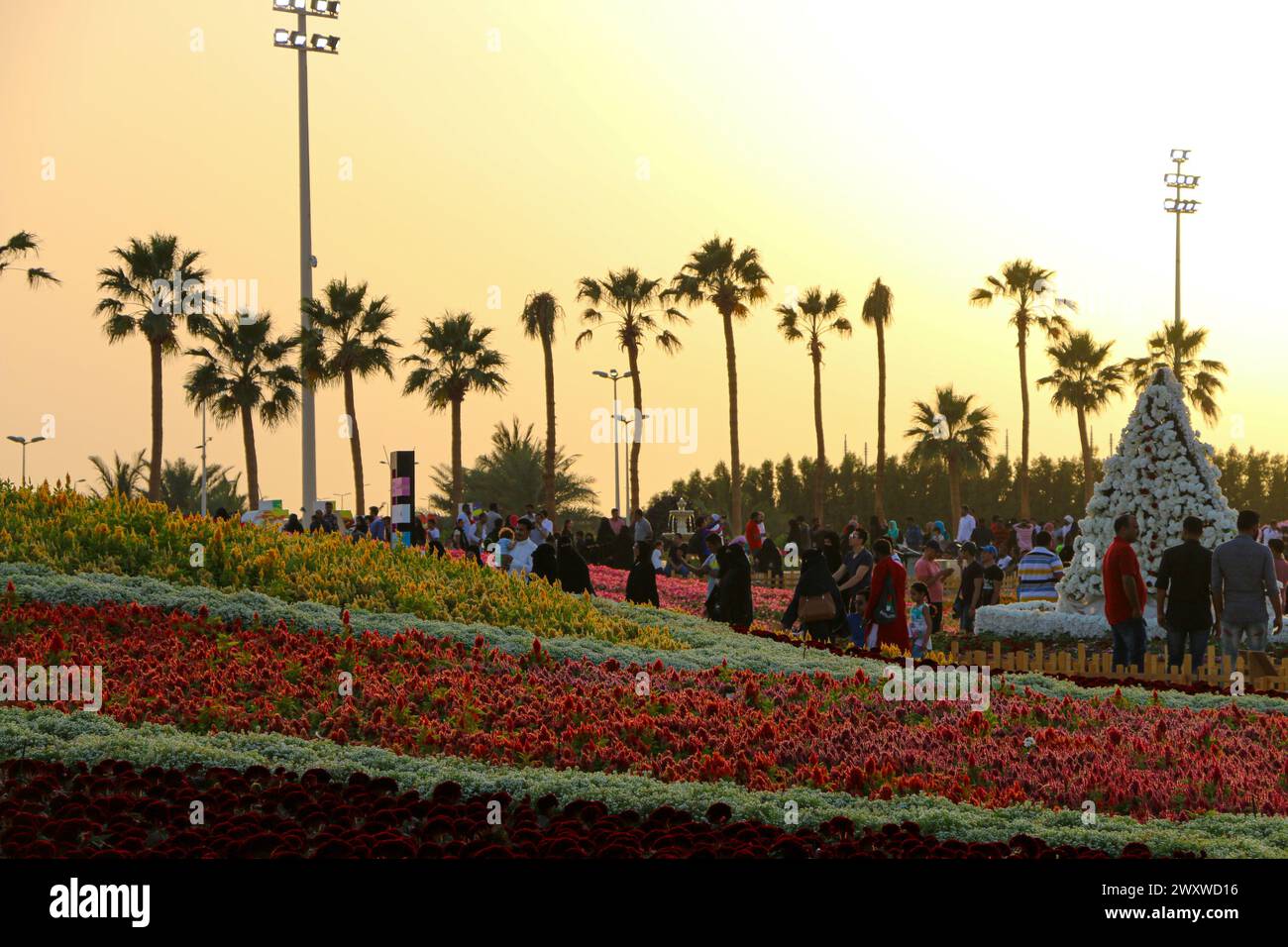 Yanbu, Madinah region, Saudi Arabia. 23 Mars 2019 - Flower festival ...