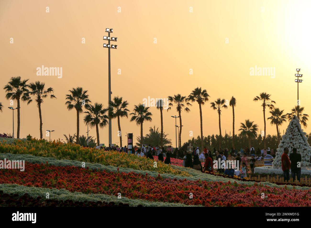 Yanbu, Madinah region, Saudi Arabia. 23 Mars 2019 - Flower festival ...