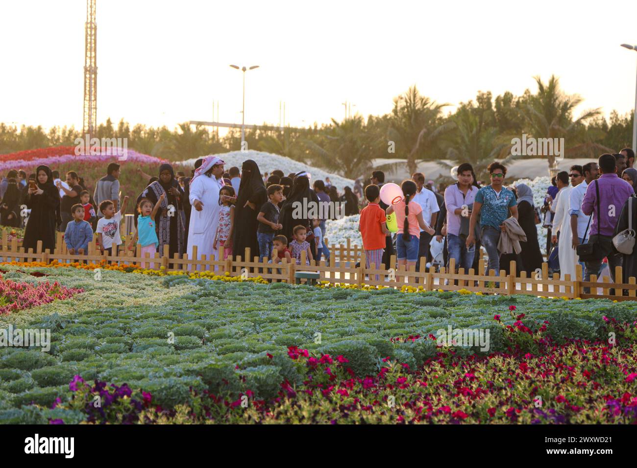 Yanbu, Madinah region, Saudi Arabia. 23 Mars 2019 - Flower festival ...