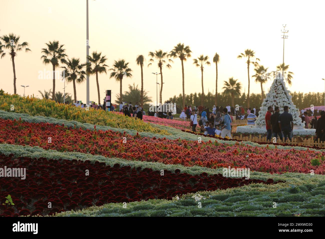 Yanbu, Madinah region, Saudi Arabia. 23 Mars 2019 - Flower festival ...