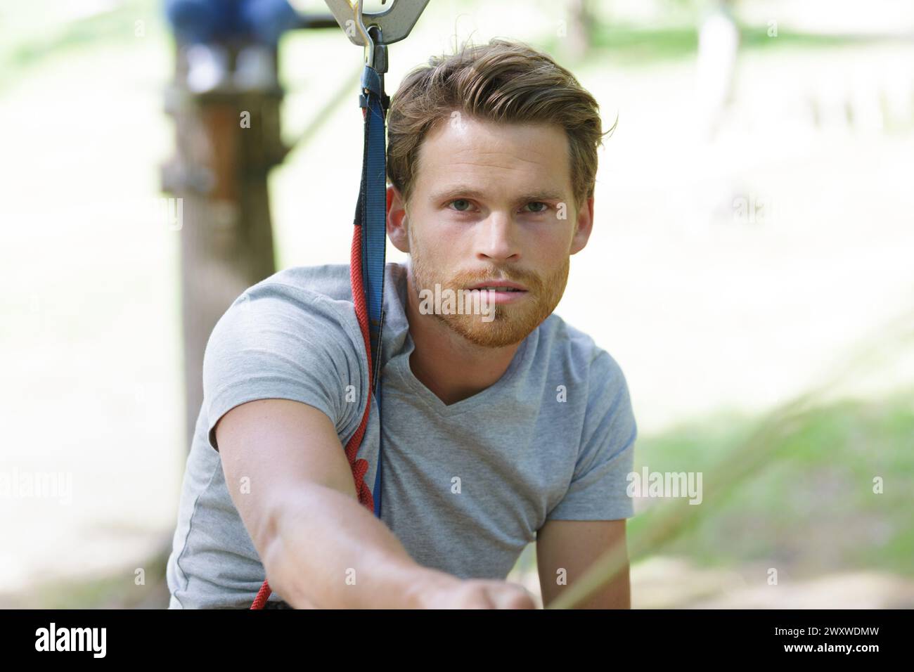 Climb a tree rope ladder hi-res stock photography and images - Alamy