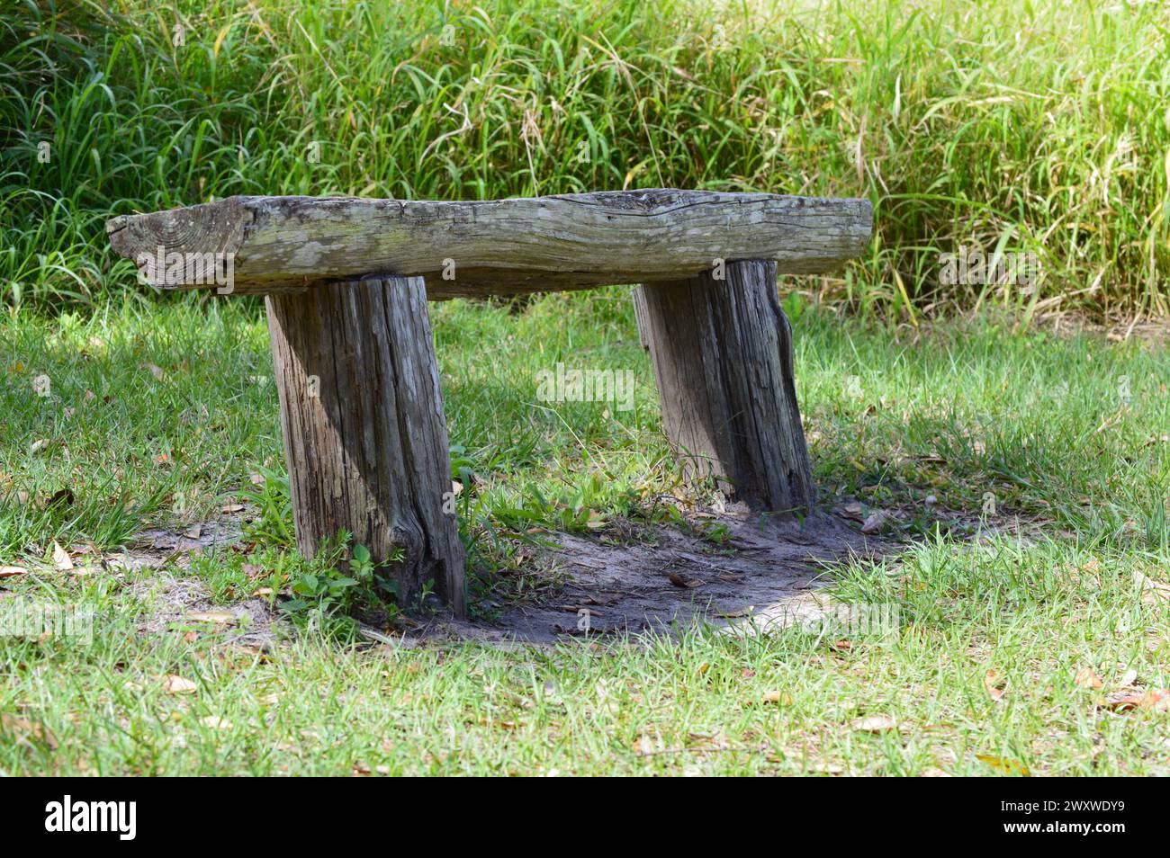wooden bench on a beach walk Stock Photo - Alamy