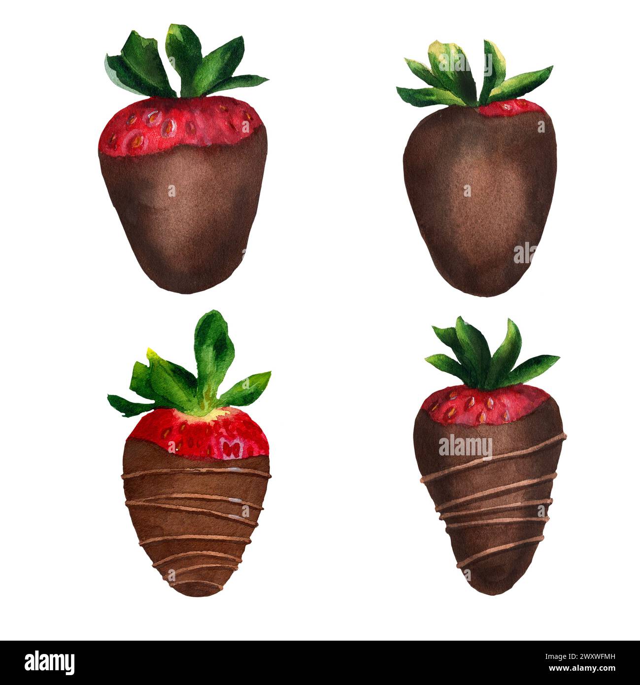 Set of four strawberries in chocolate drawn in watercolor isolated on a ...