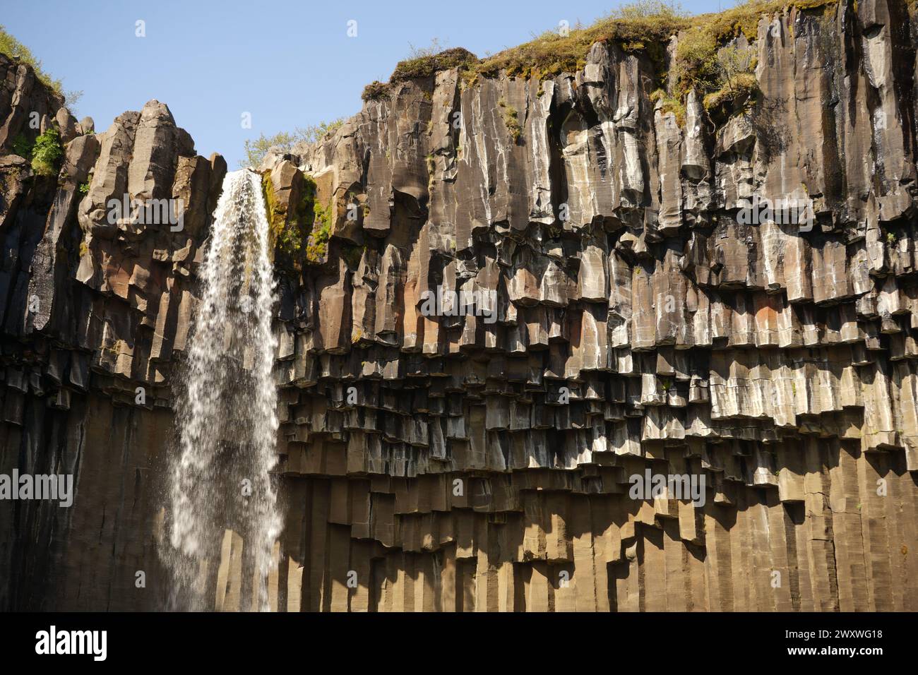 Basalt svartifoss skaftafell national hi-res stock photography and ...