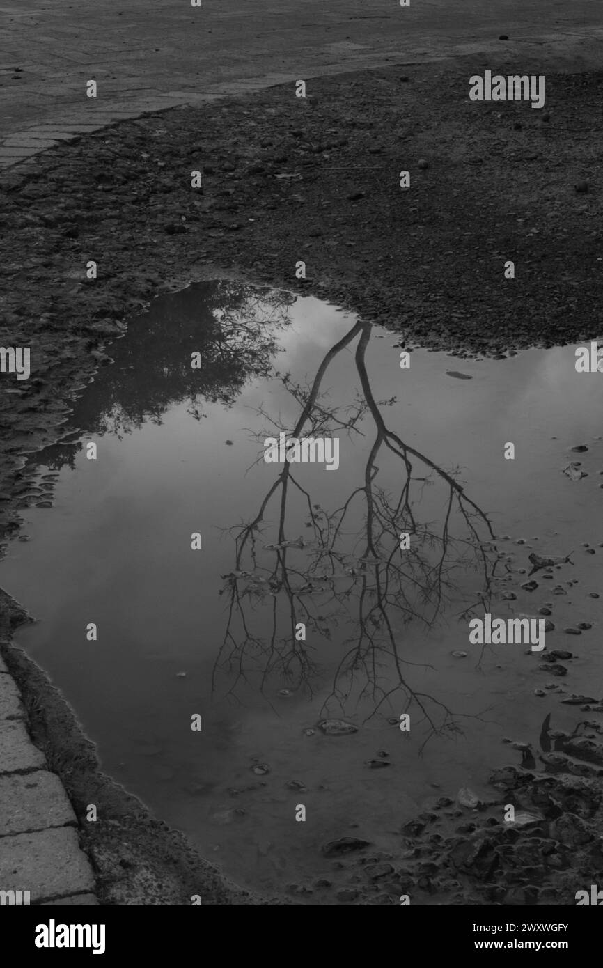 Water Reflection 4 Stock Photo - Alamy