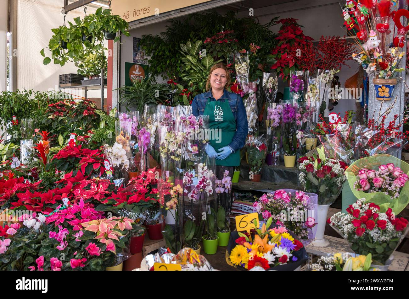 Market stall selling plants flowers hi-res stock photography and images ...
