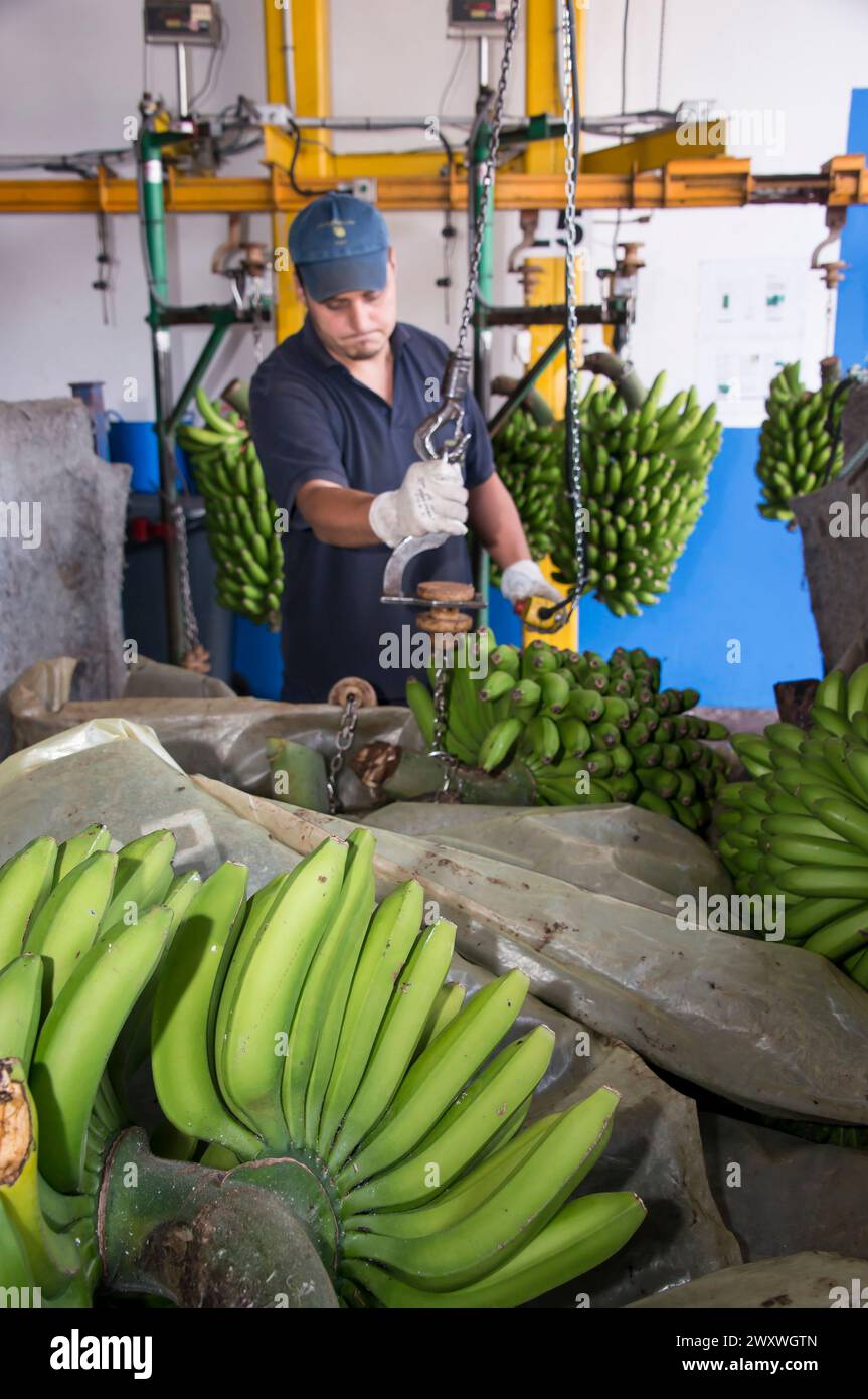 Worker packaging products hi-res stock photography and images - Alamy