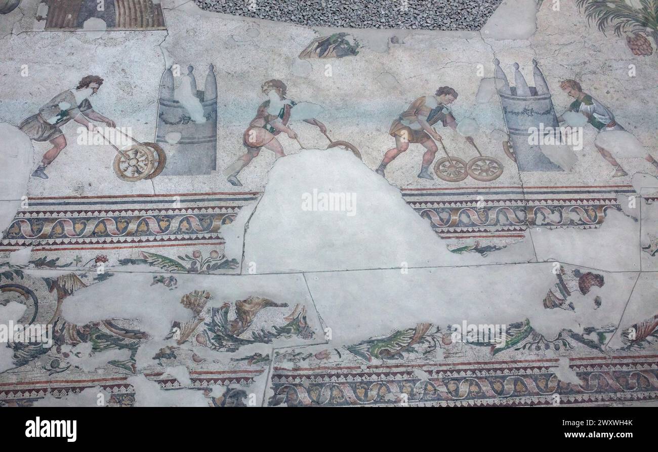 Trochus game hi-res stock photography and images - Alamy