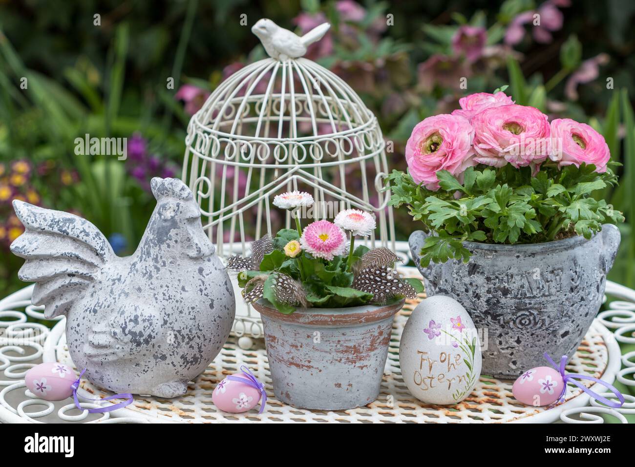easter garden decoration with easter chicken, pink bellis perennis and ...