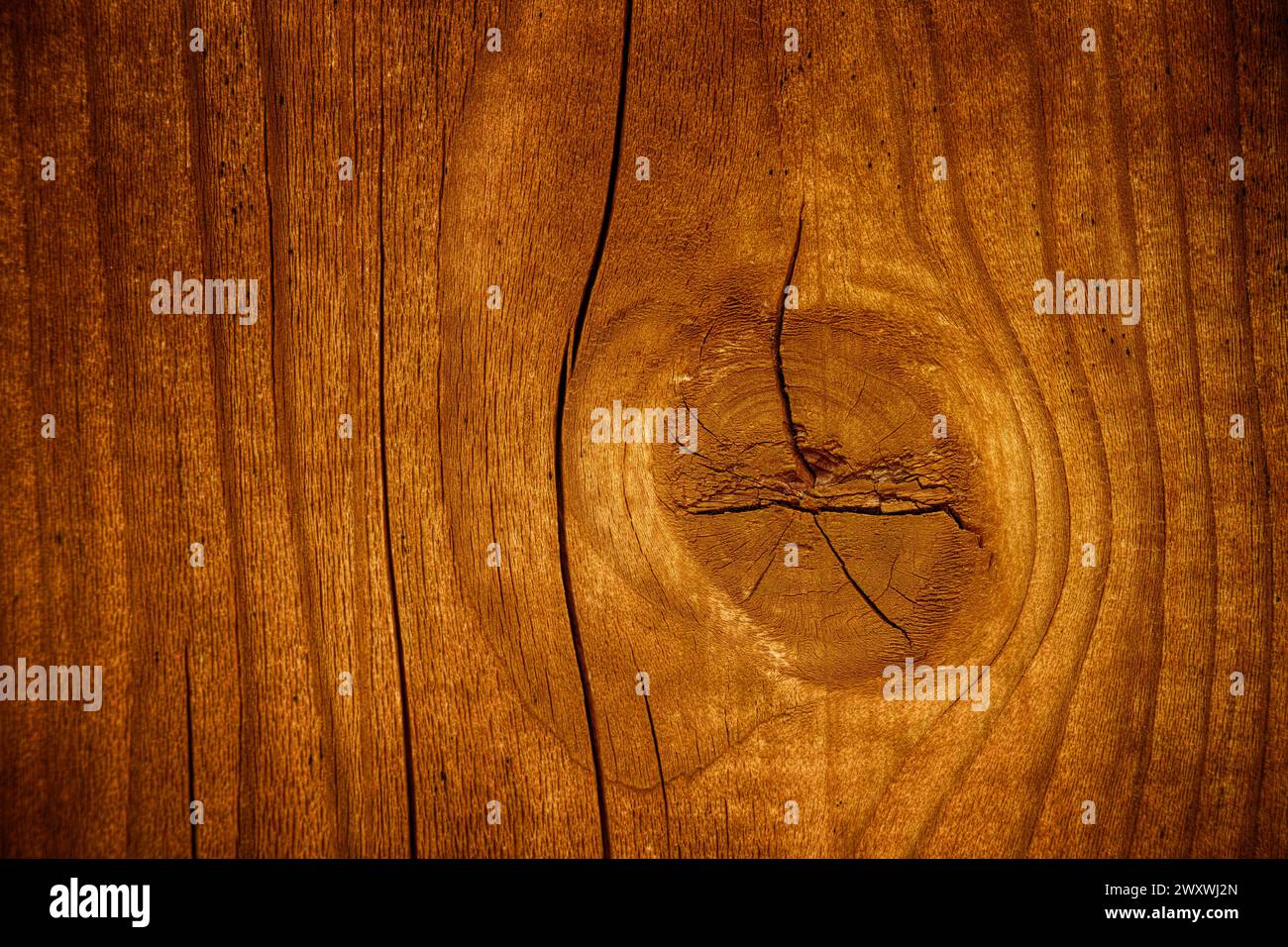 A background of siberian spruce timber. Close up Stock Photo - Alamy