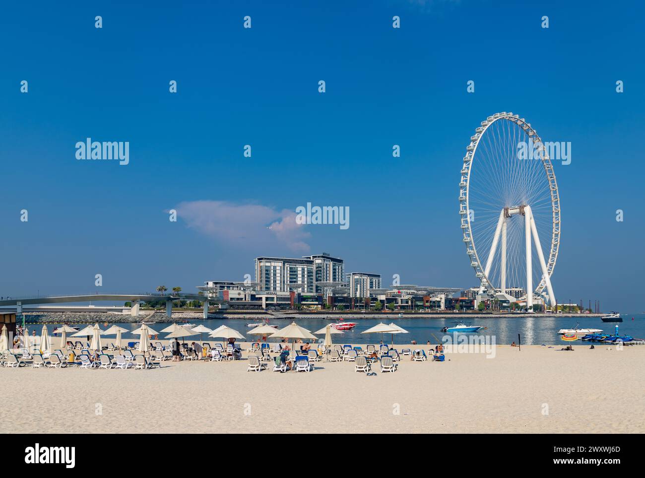A picture of the Marina Beach and Ain Dubai ferris wheel Stock Photo ...